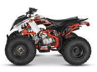 2023 Kayo Storm 150 and 180 Buyer's Guide: Specs, Photos, Price | ATV Rider