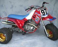 Custom Mini Three Wheeler | ATV Rider