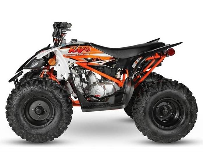 2023 Kayo Predator 125 Buyer's Guide: Specs, Photos, Price | ATV Rider