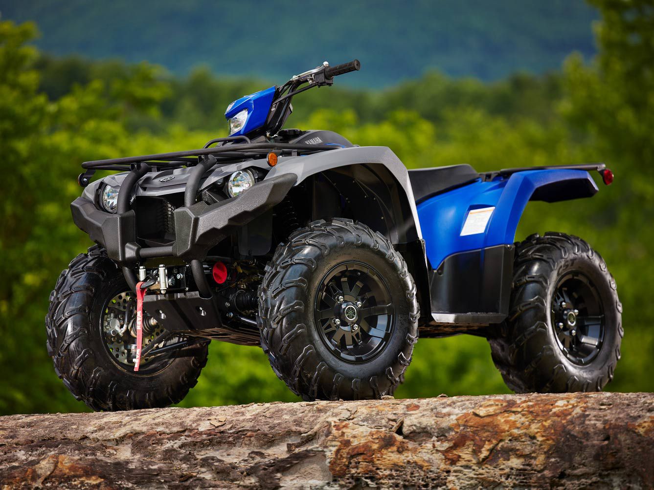 Yamaha Atv 450