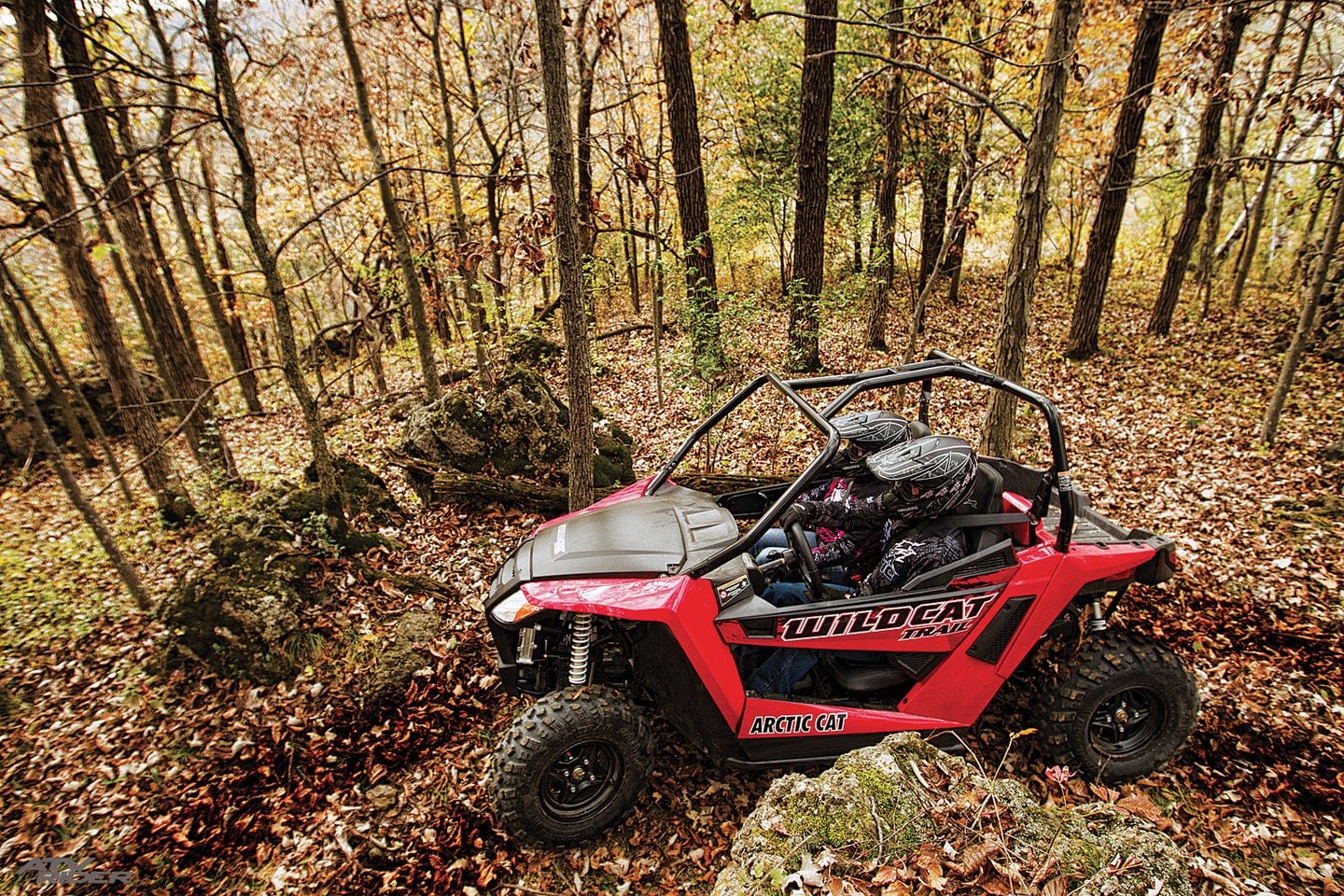 Arctic Cat Wildcat Red