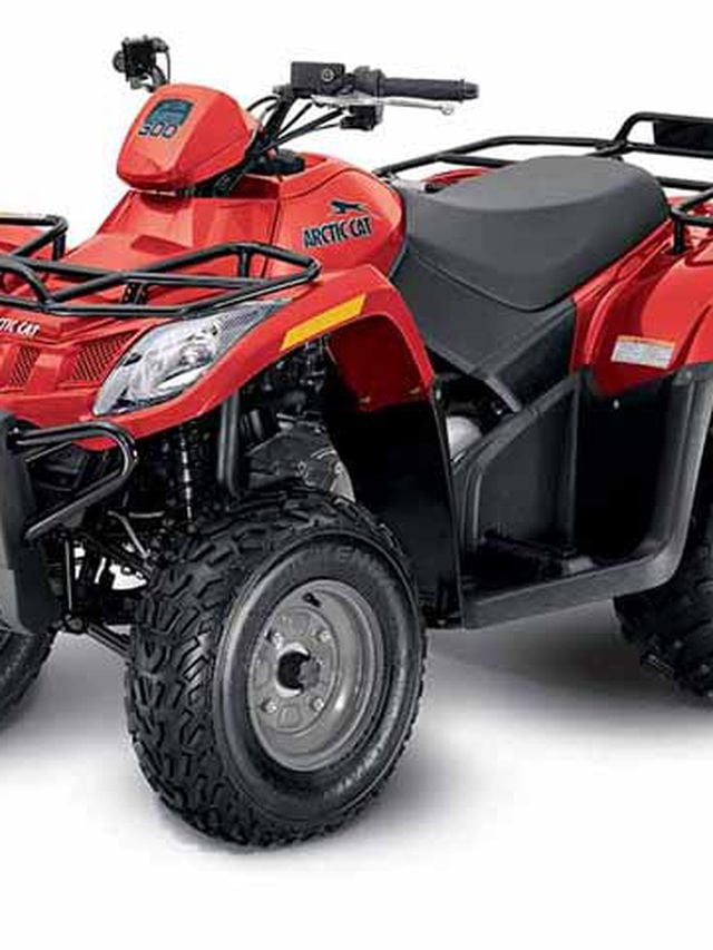 Arctic Atv 2010