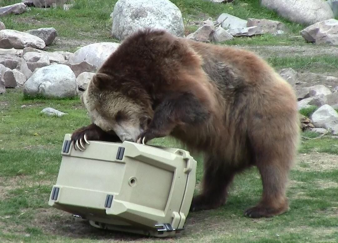 ATV Cooler, Polaris Northstar Cooler Review | ATV Rider