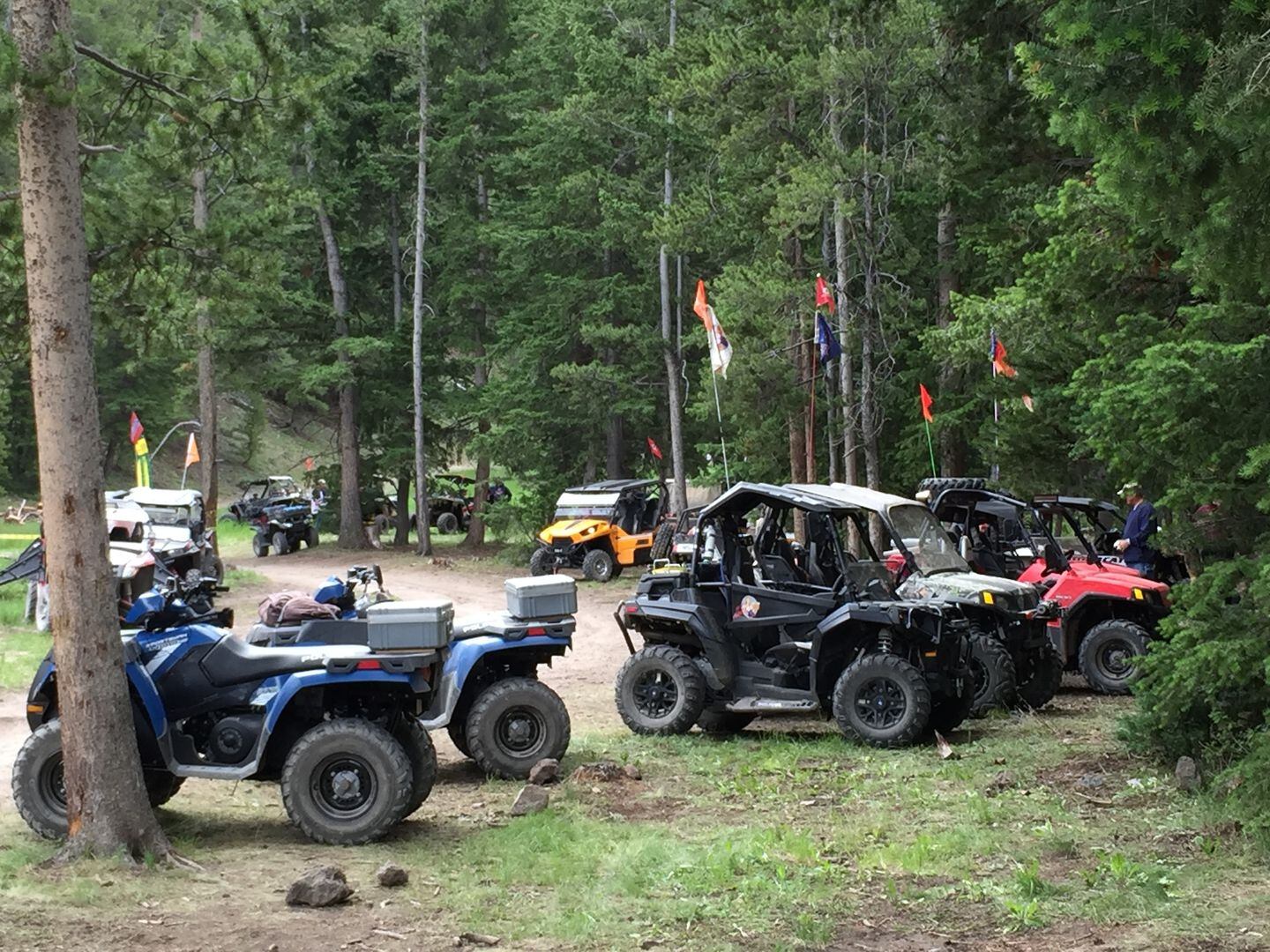 Rally In The Pines | ATV Rider